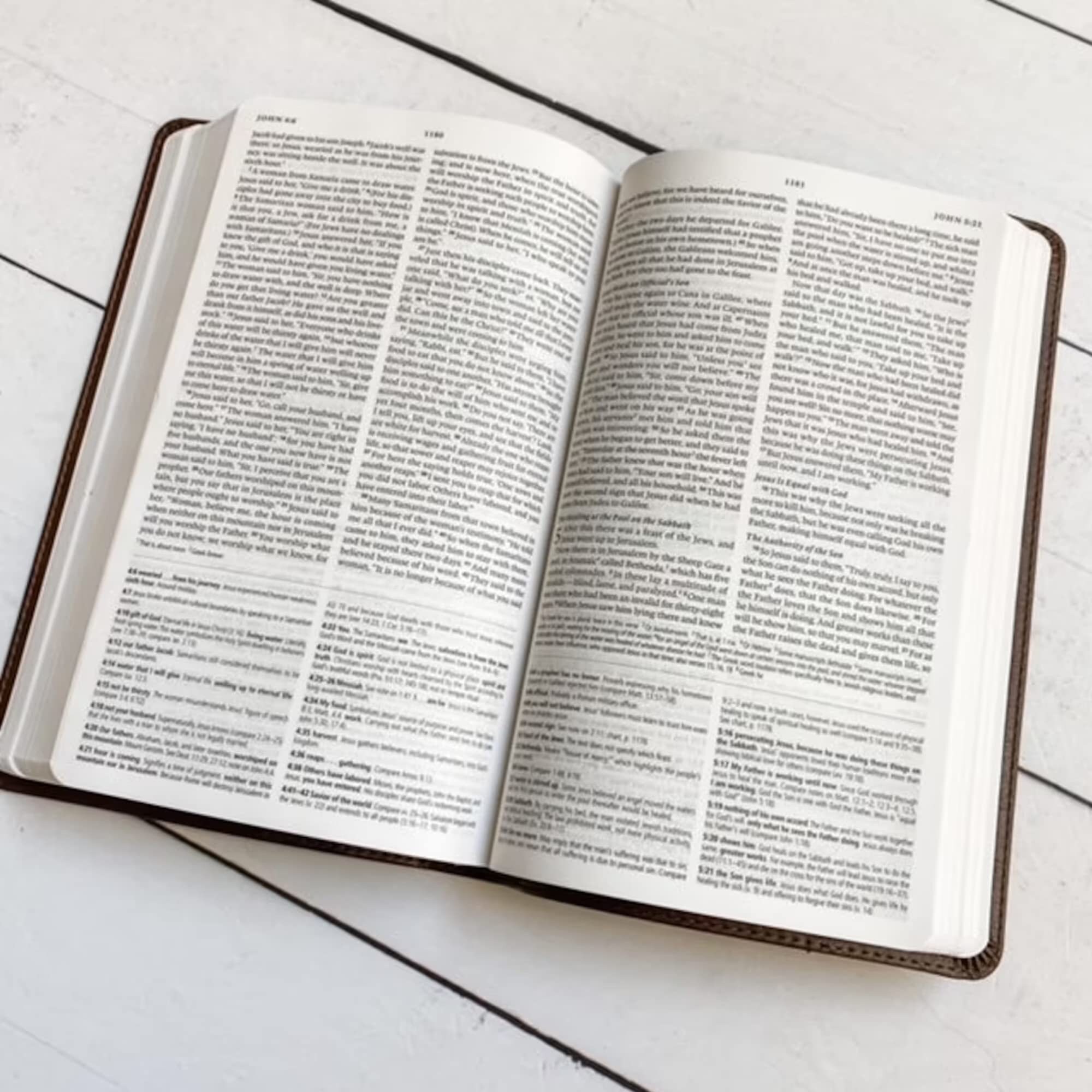 PERSONALIZED ESV Concise Study Bible - Brown - Proverbs 28:1 With Lion ...