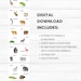 PRINTABLE Zoo Passport Scavenger Hunt, Animal Worksheet, Summer Games ...