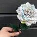 Paper Rose Made From Map Paper Map Rose Paper Flowers Gift - Etsy