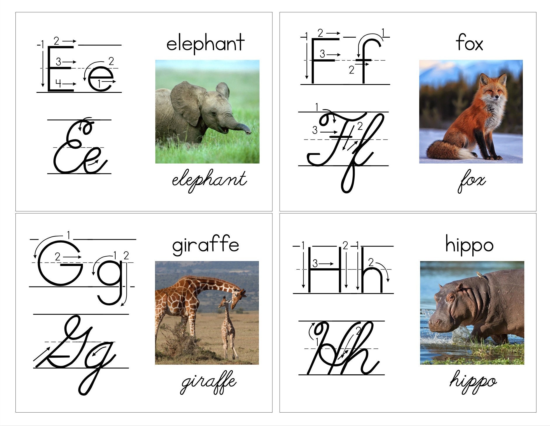 Animal Alphabet Posters | Animals A to Z | Print Manuscript and Cursive ...