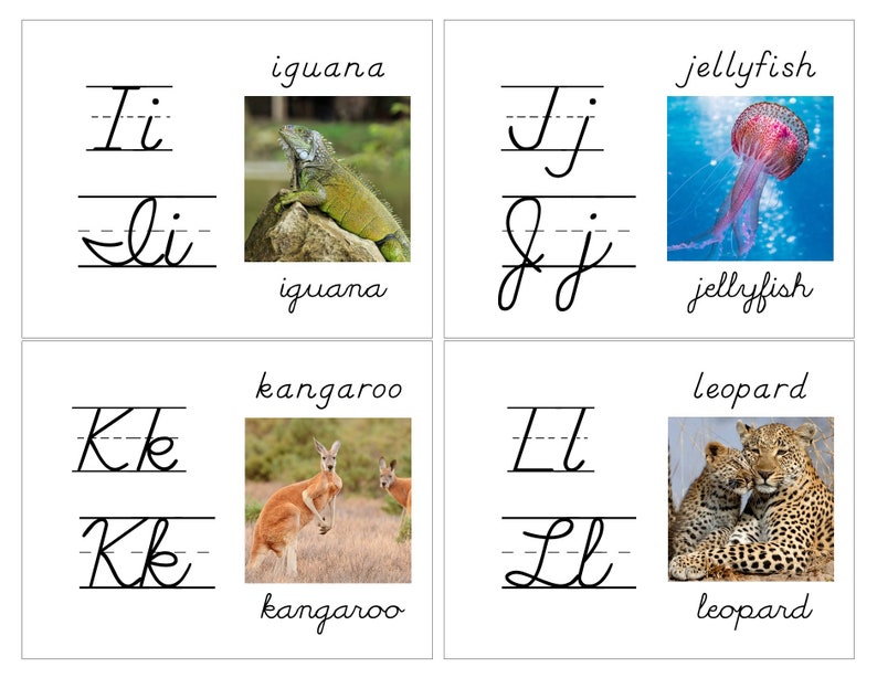 Animal Alphabet Posters | Animals A to Z | Print Manuscript and Cursive ...