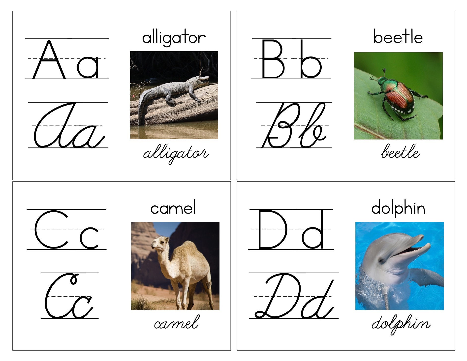 Animal Alphabet Posters | Animals A to Z | Print Manuscript and Cursive ...
