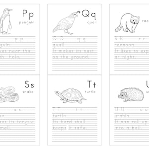 Nature Reader Copybook | Animals A to Z | Handwriting Practice | Primer ...