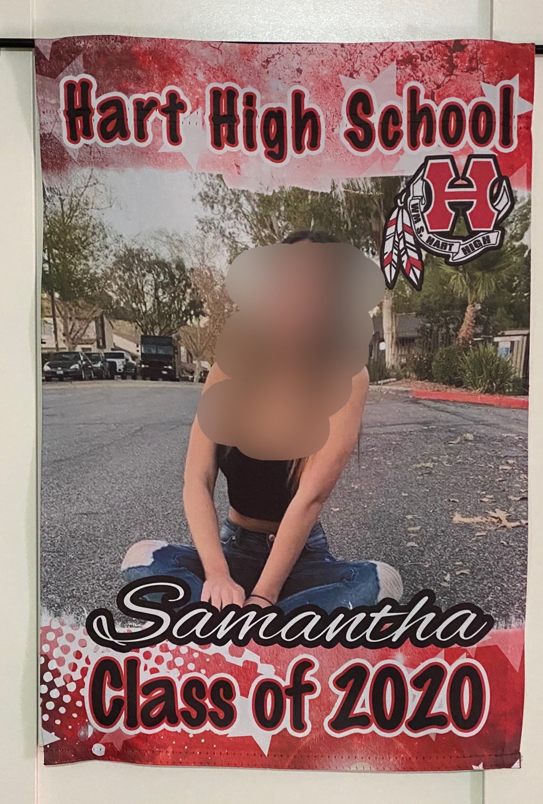 A Custom Senior Flag for Your Favorite Student. Can Be Made in Any ...