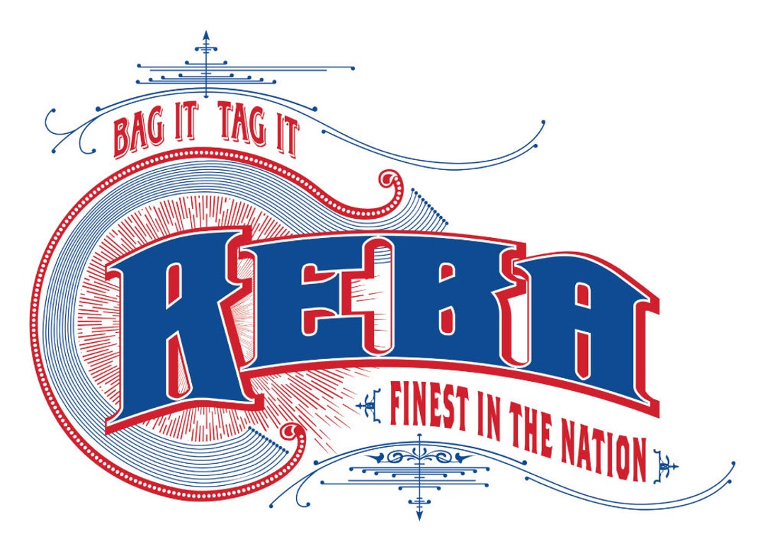 Phish Reba Red and Blue - Etsy