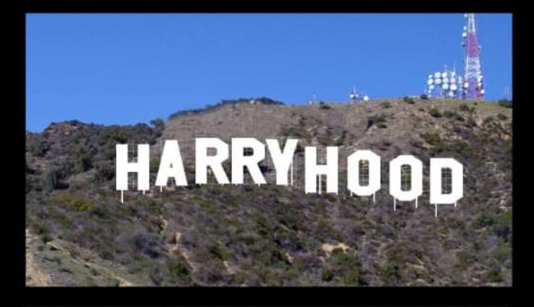 Phish Harry Hood Sign Sticker or Magnet - Etsy