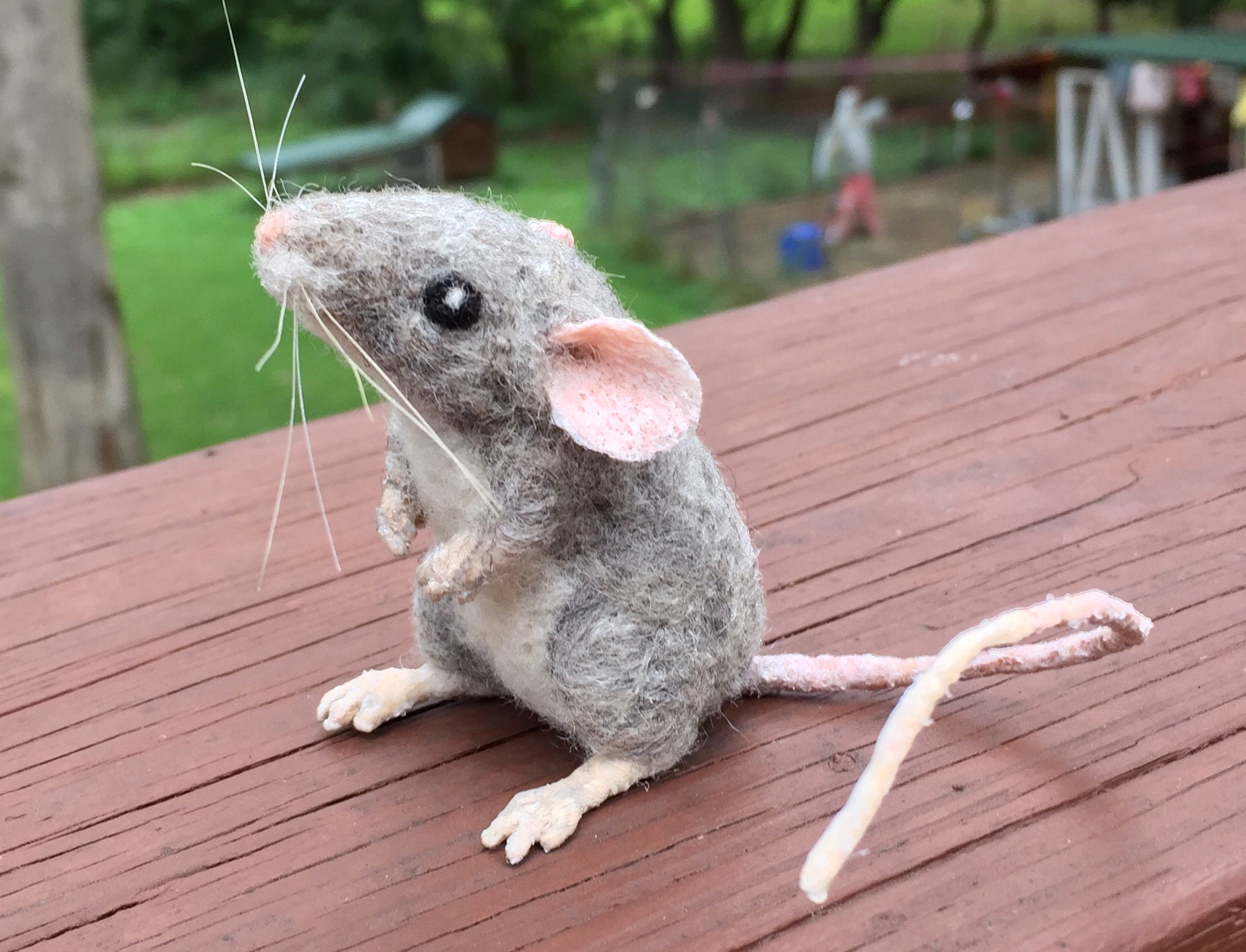 Gray Mouse Animal | ubicaciondepersonas.cdmx.gob.mx