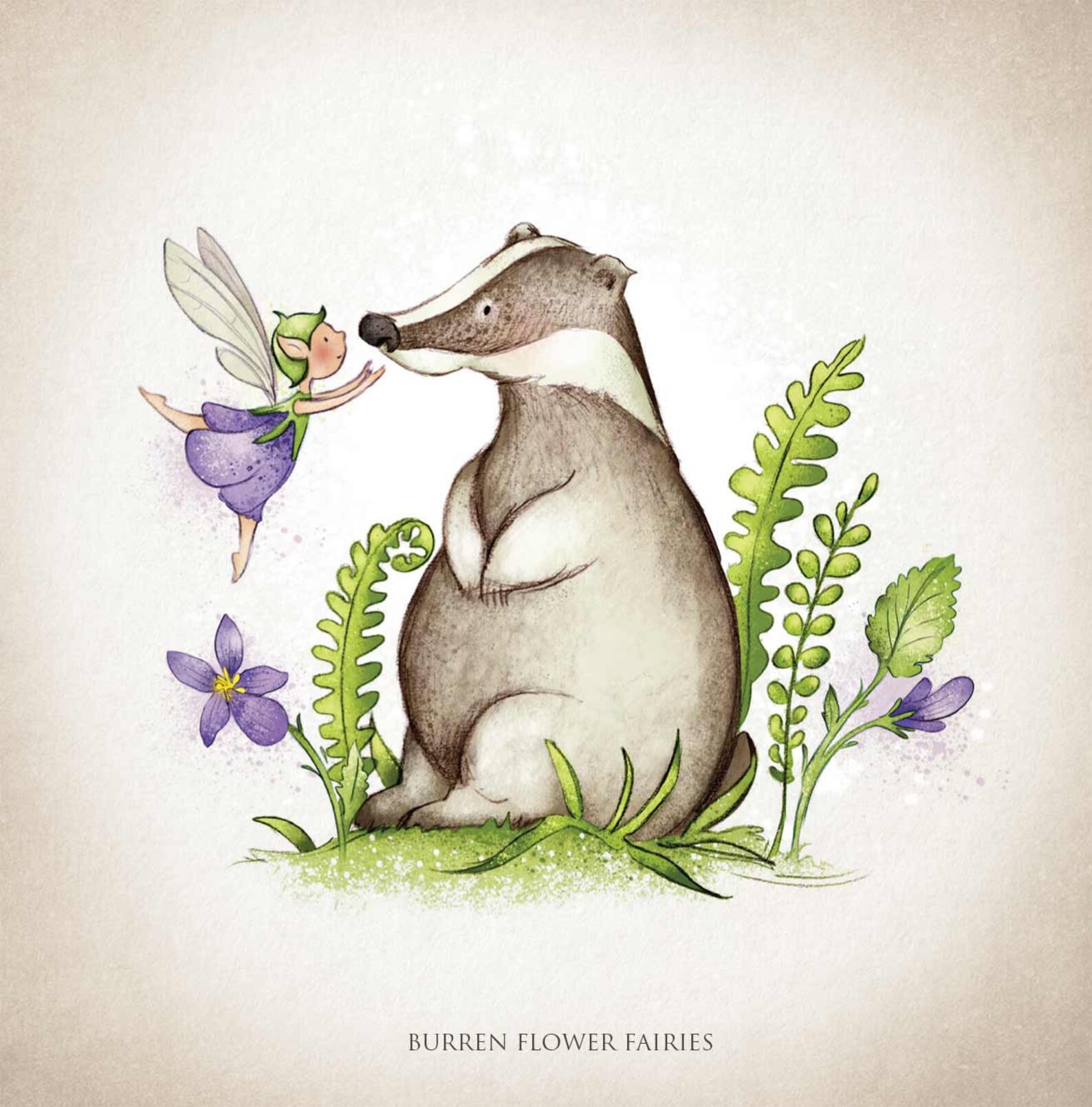 WILDLIFE CARDS - Pack of 6 - Etsy