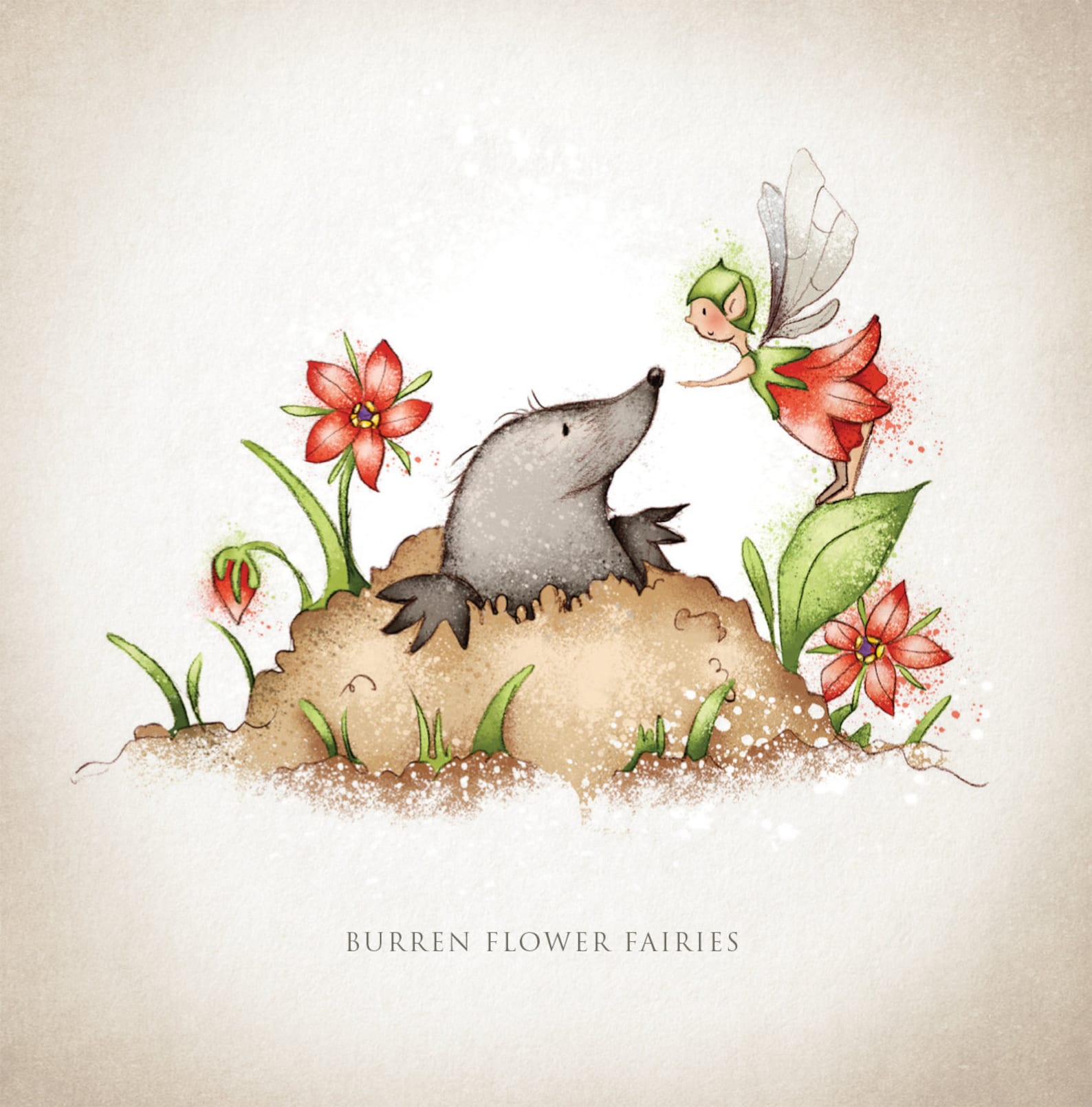 WILDLIFE CARDS - Pack of 6 - Etsy