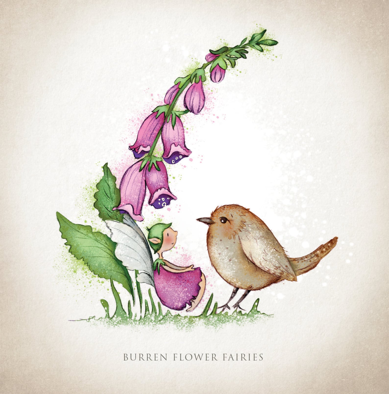 WILDLIFE CARDS - Pack of 6 - Etsy