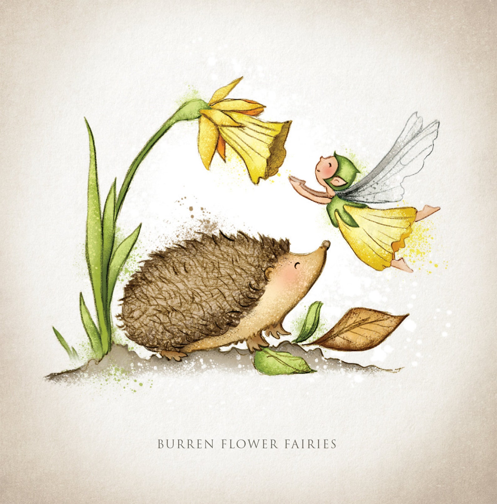 WILDLIFE CARDS - Pack of 6 - Etsy