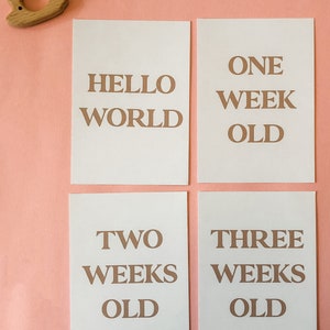 Gender Neutral Baby Milestone Cards Monthly Milestone Cards Baby ...