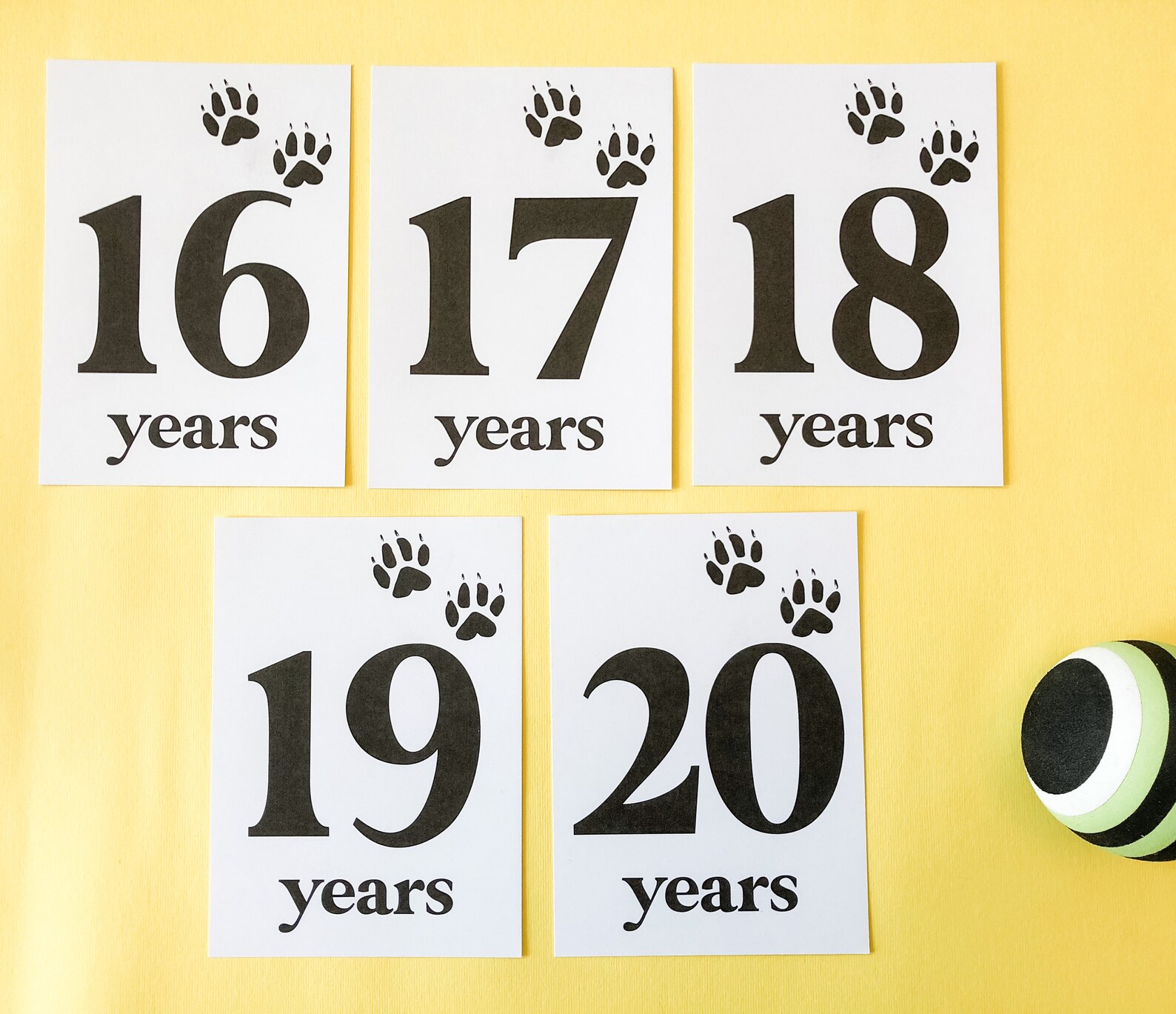Dog Milestone Cards: Gotcha Day, Birthday Photo Props - Etsy