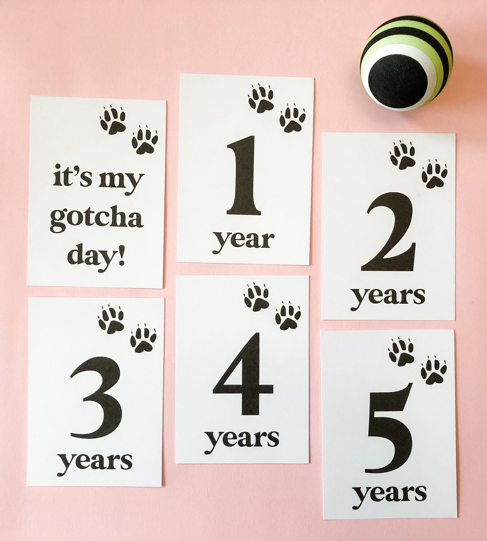 Dog Milestone Cards: Gotcha Day, Birthday Photo Props - Etsy