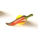 Chili Pepper Enamel Pin Red Chili Pepper Pin Foodie Gift - Etsy