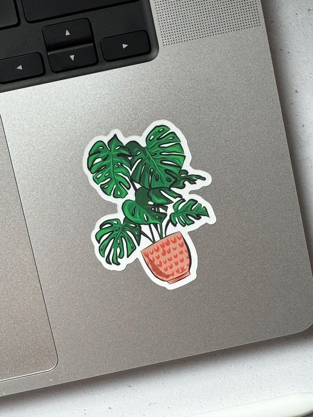 Monstera Plant Sticker Cute Vinyl Sticker for Plant Lovers, Monstera ...