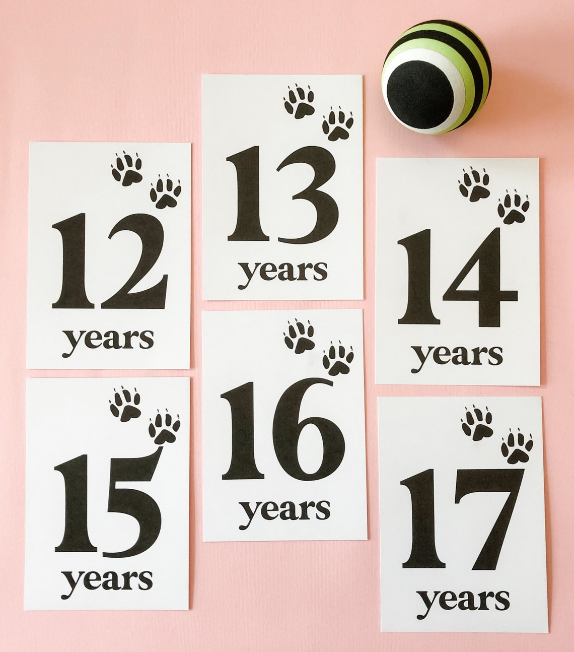 Pet Milestone Cards Dog Photo Prop Dog Birthday Dog Milestone Cards Dog ...