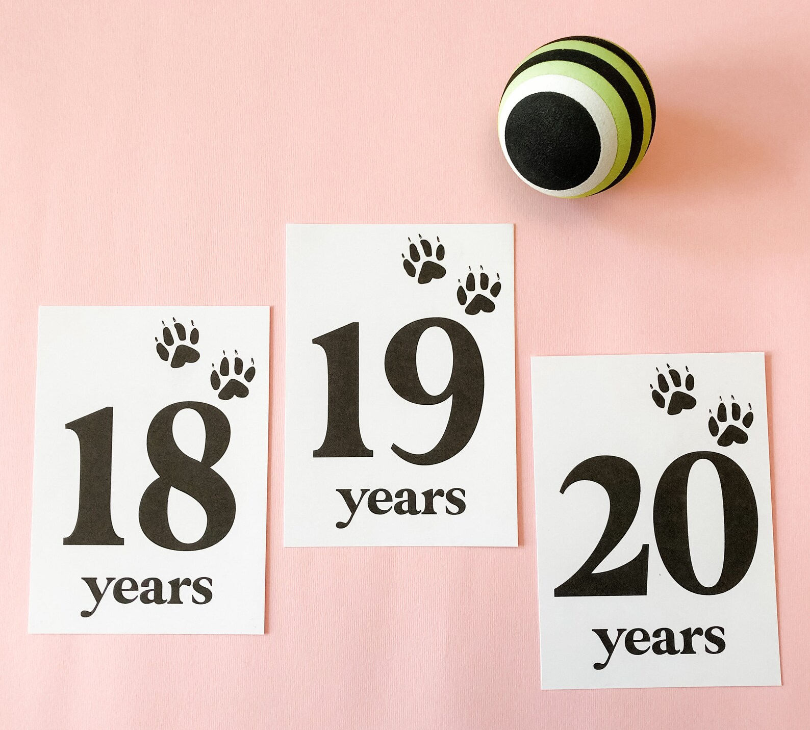 Pet Milestone Cards Dog Photo Prop Dog Birthday Dog Milestone Cards Dog ...