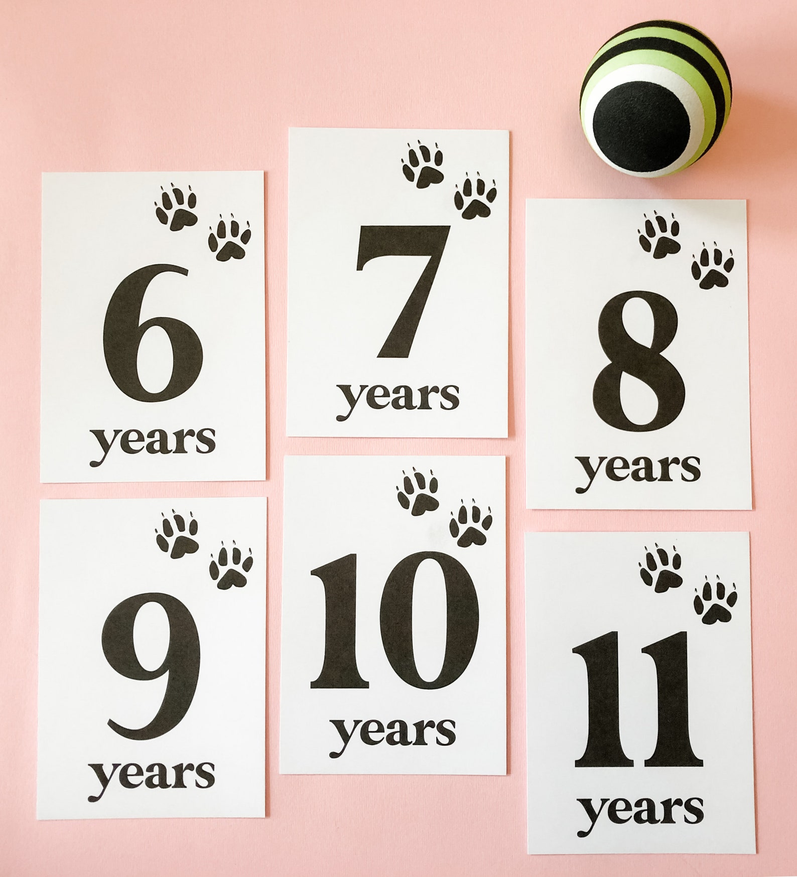 Pet Milestone Cards Dog Photo Prop Dog Birthday Dog Milestone Cards Dog ...