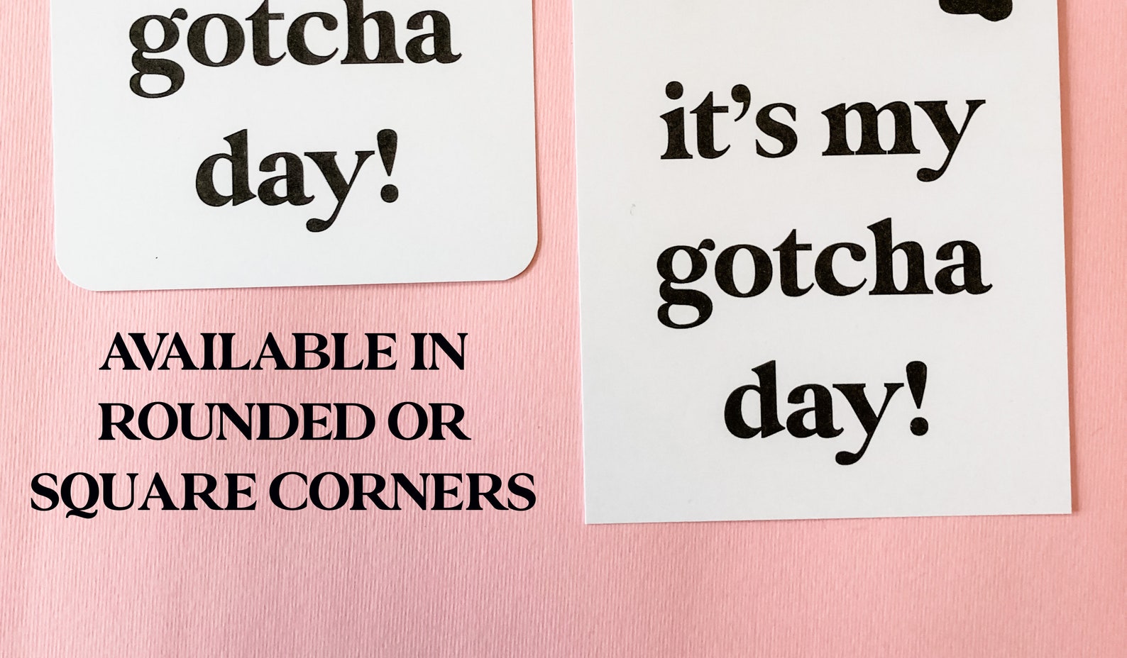 Pet Milestone Cards Dog Photo Prop Dog Birthday Dog Milestone Cards Dog ...