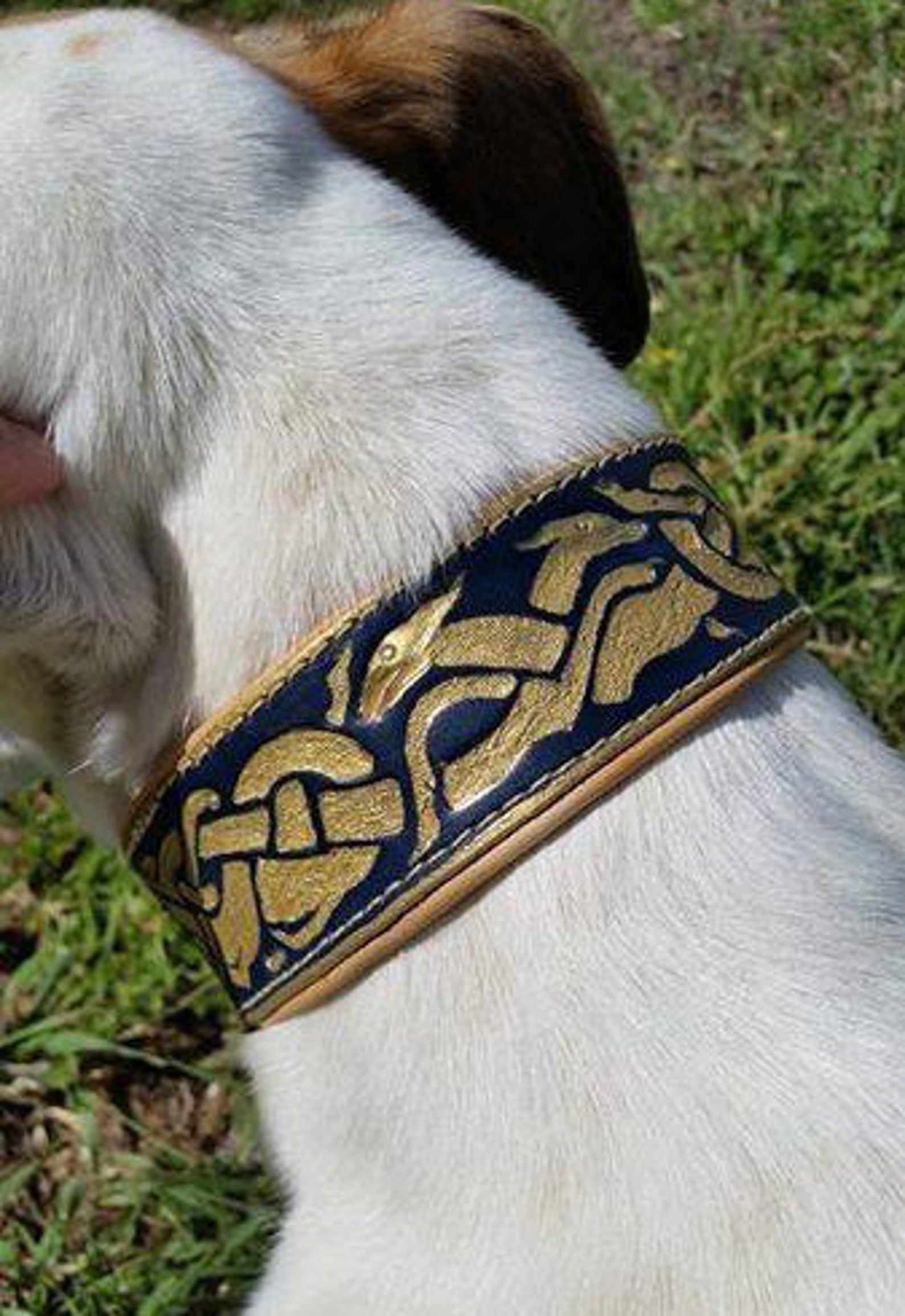 Leather Sight Hound Collar | Etsy