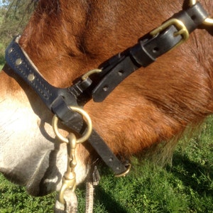 Bitless Bridle - Etsy
