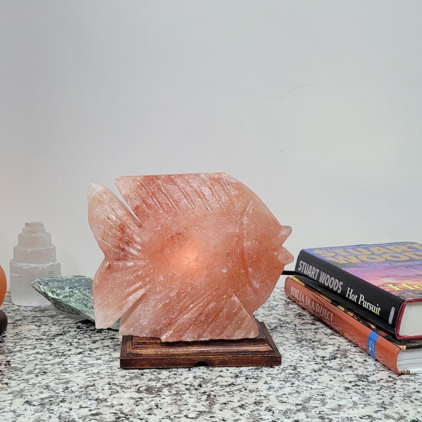 Himalayan Salt Lamp Fish Shape Pink Salt Rock Salt 100% | Etsy