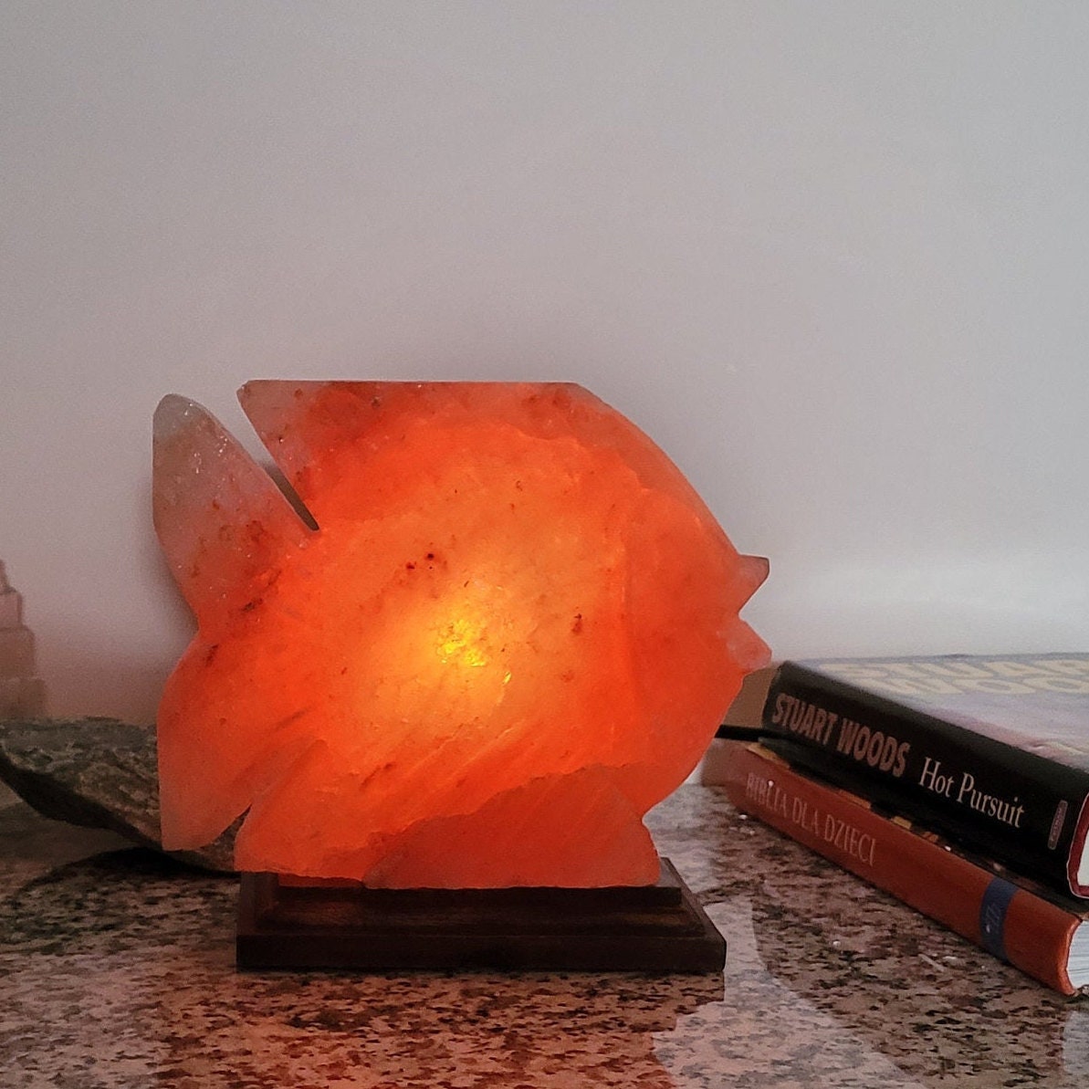 Himalayan Salt Lamp Fish Shape Pink Salt Rock Salt 100% | Etsy
