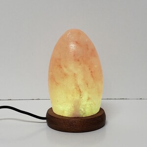 Salt Lamp, Egg Shape, Wood Base, Pink Salt Lamp, Multi Color Leds With ...