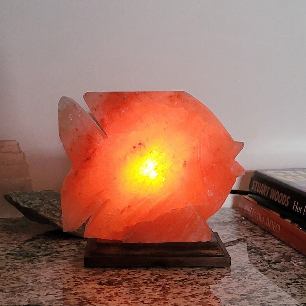 Himalayan Salt Lamp Fish Shape Pink Salt Rock Salt 100% | Etsy