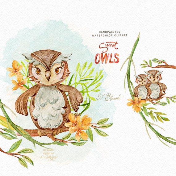 Sweet Owls Watercolor Clipart Animal Clipart Owl | Etsy