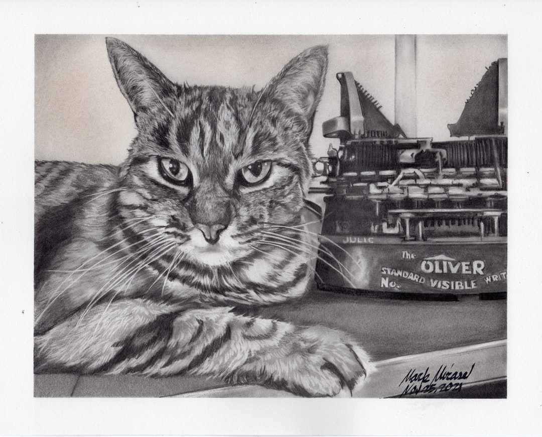 Pet Drawing - Cat Pencil Drawing - Dog Pencil Drawing - Pet Pencil ...