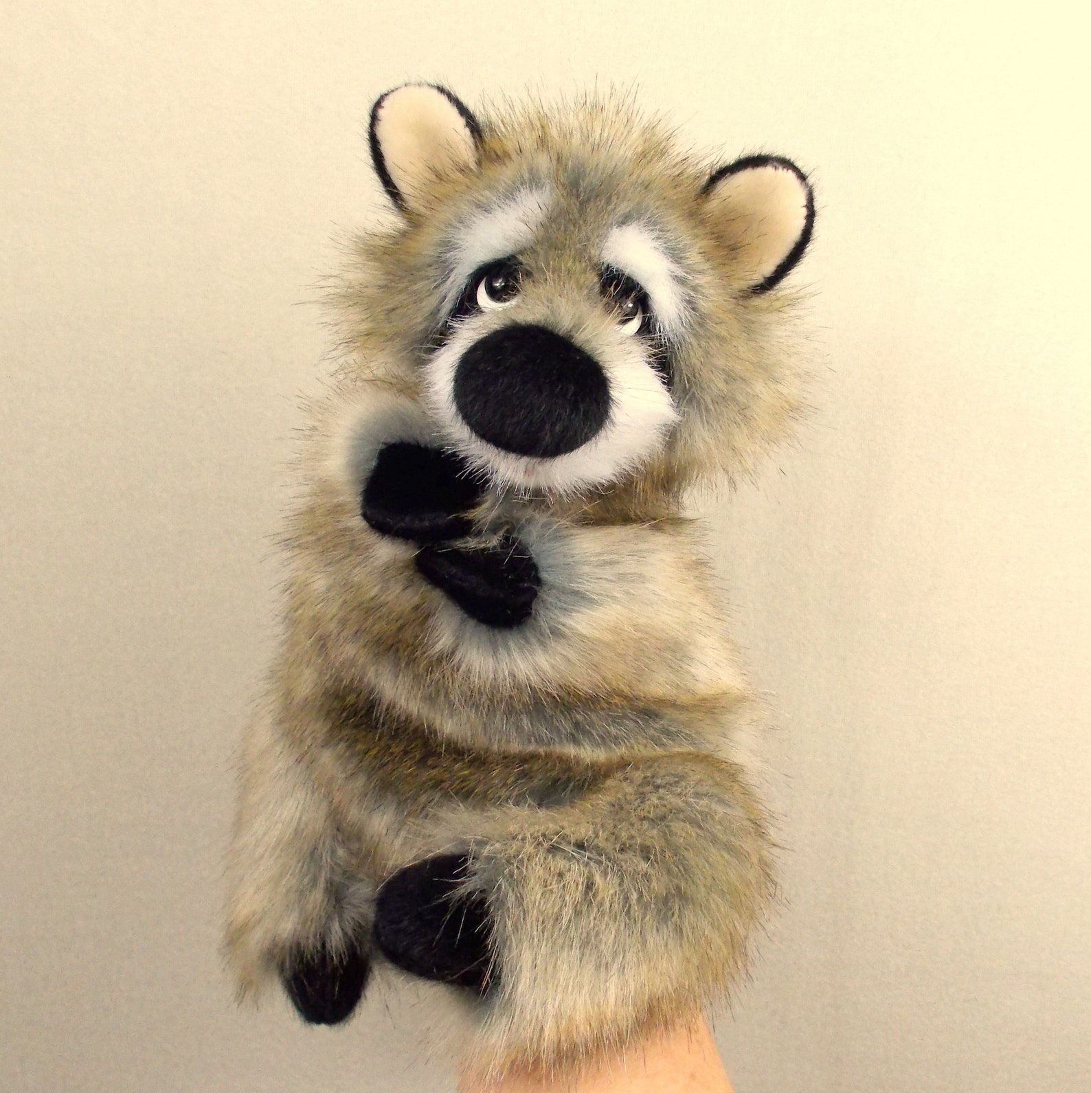 Raccoon Reddish Hand Puppet. Funny Raccoon for Home Puppet - Etsy