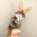 Rabbit Plush Puppet. Hare Reddish Gray Hand Puppet for Home Theater ...
