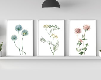Dandelion Art | Etsy UK