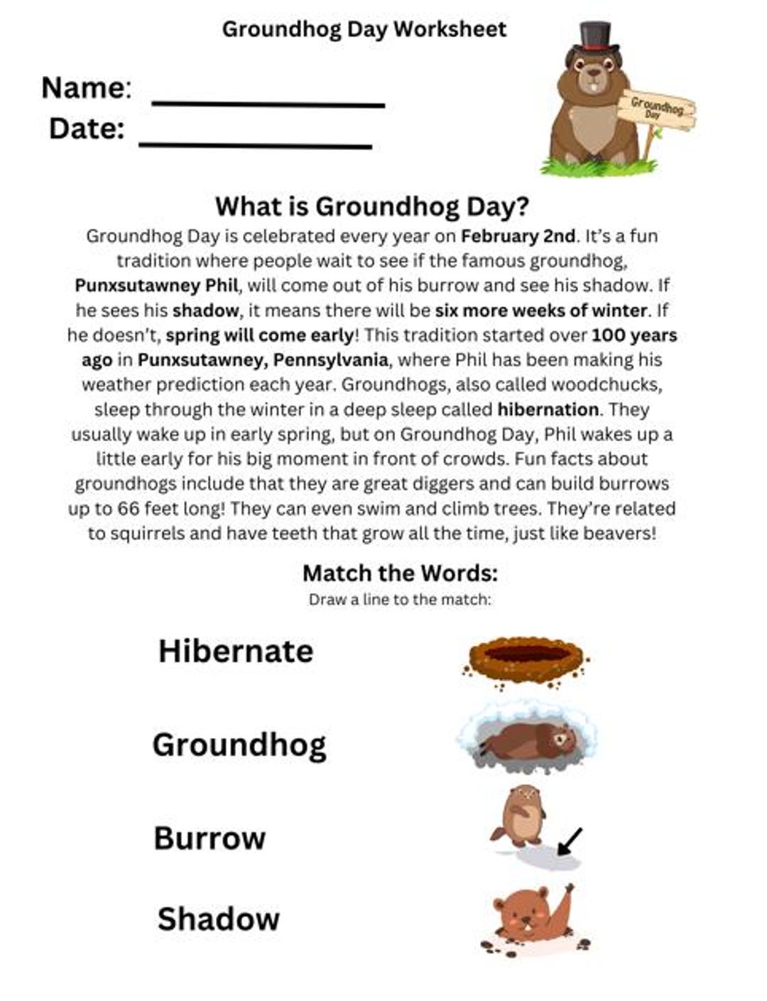 Kindergarten, 1st Grade Groundhog Worksheet - Etsy
