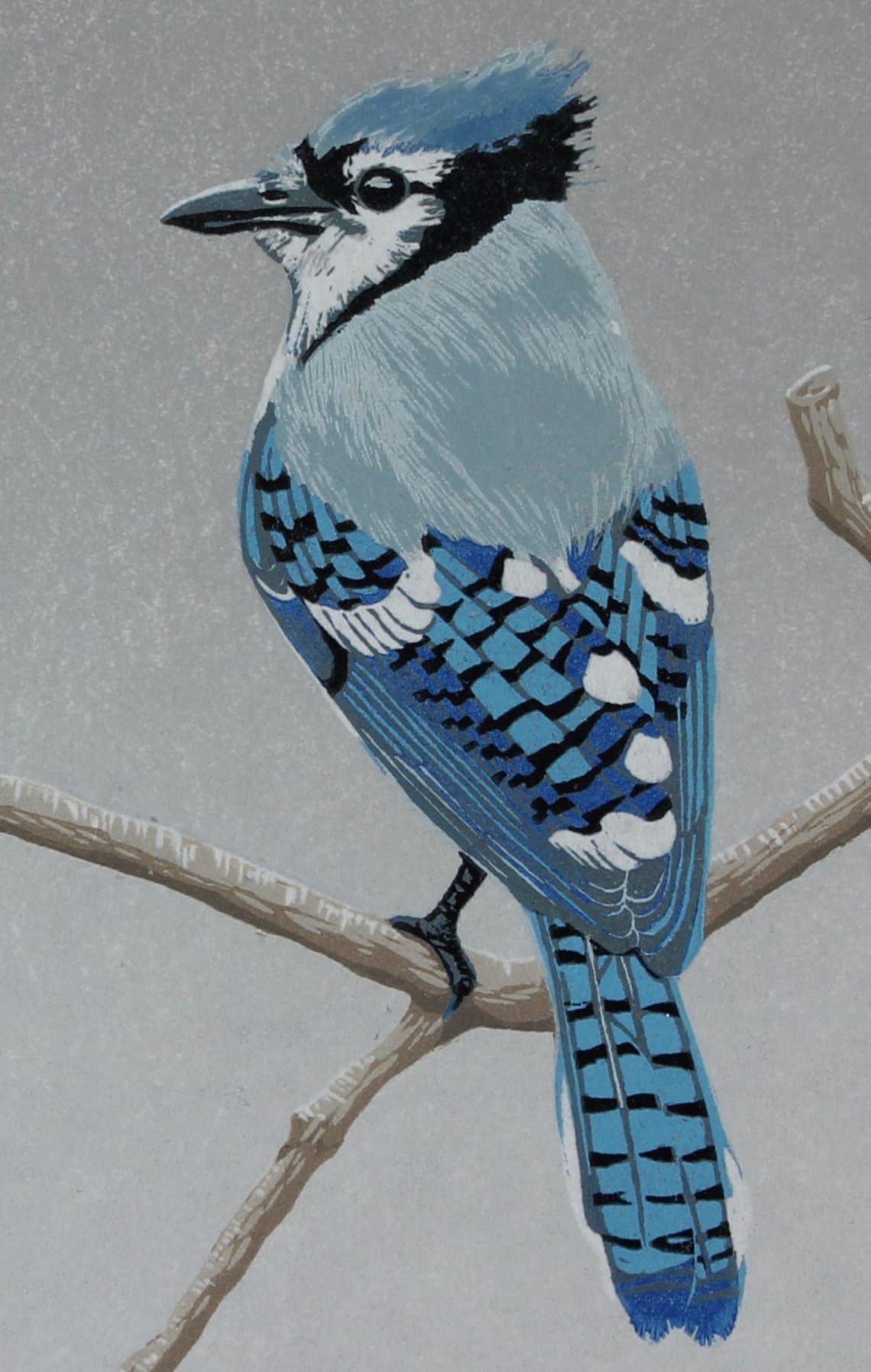 Blue Jay - Hand-pulled Linocut Print - Etsy