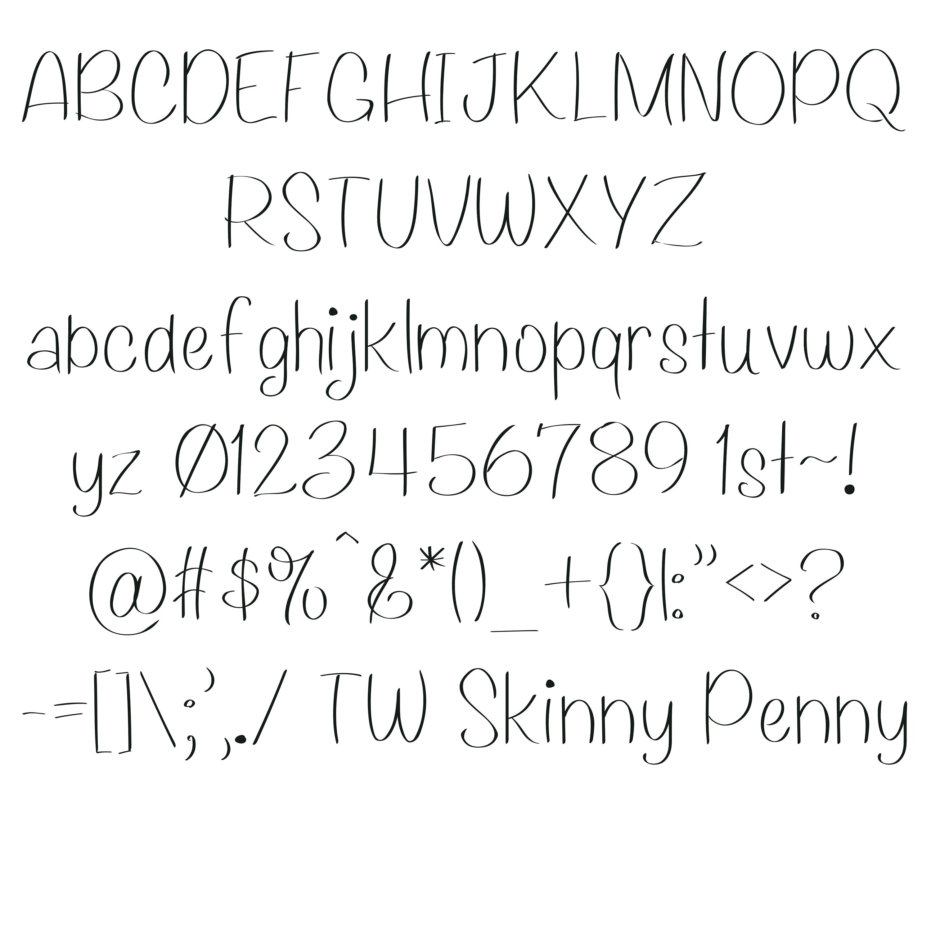 TW Skinny Penny TTF Font - Commercial Use Personal Use Instant Download ...