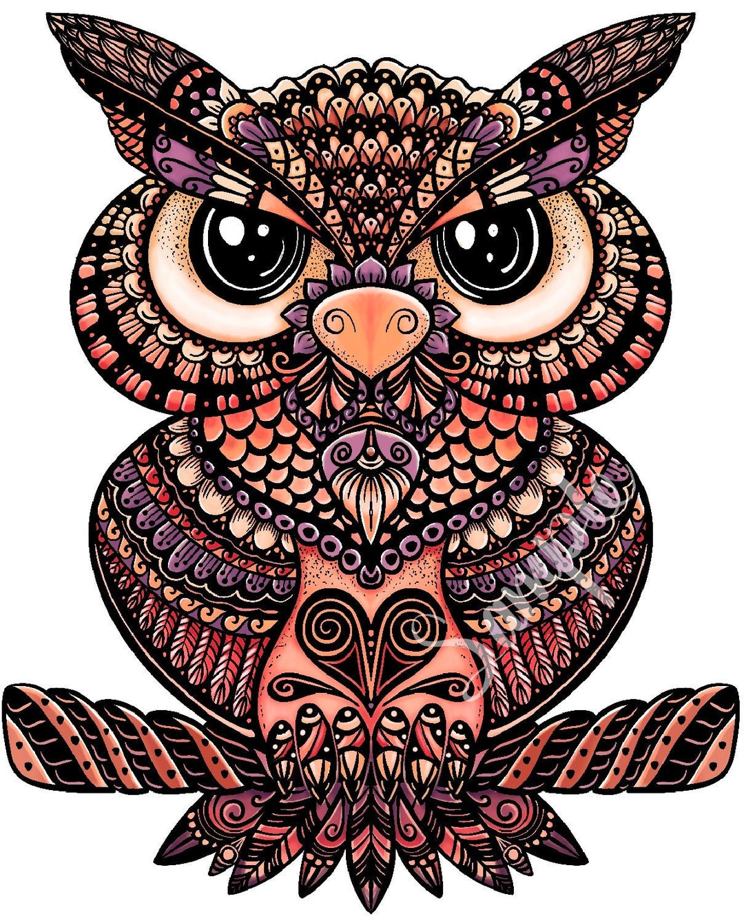 January Owl in Color - PNG Clipart Commercial Use Instant Digital ...