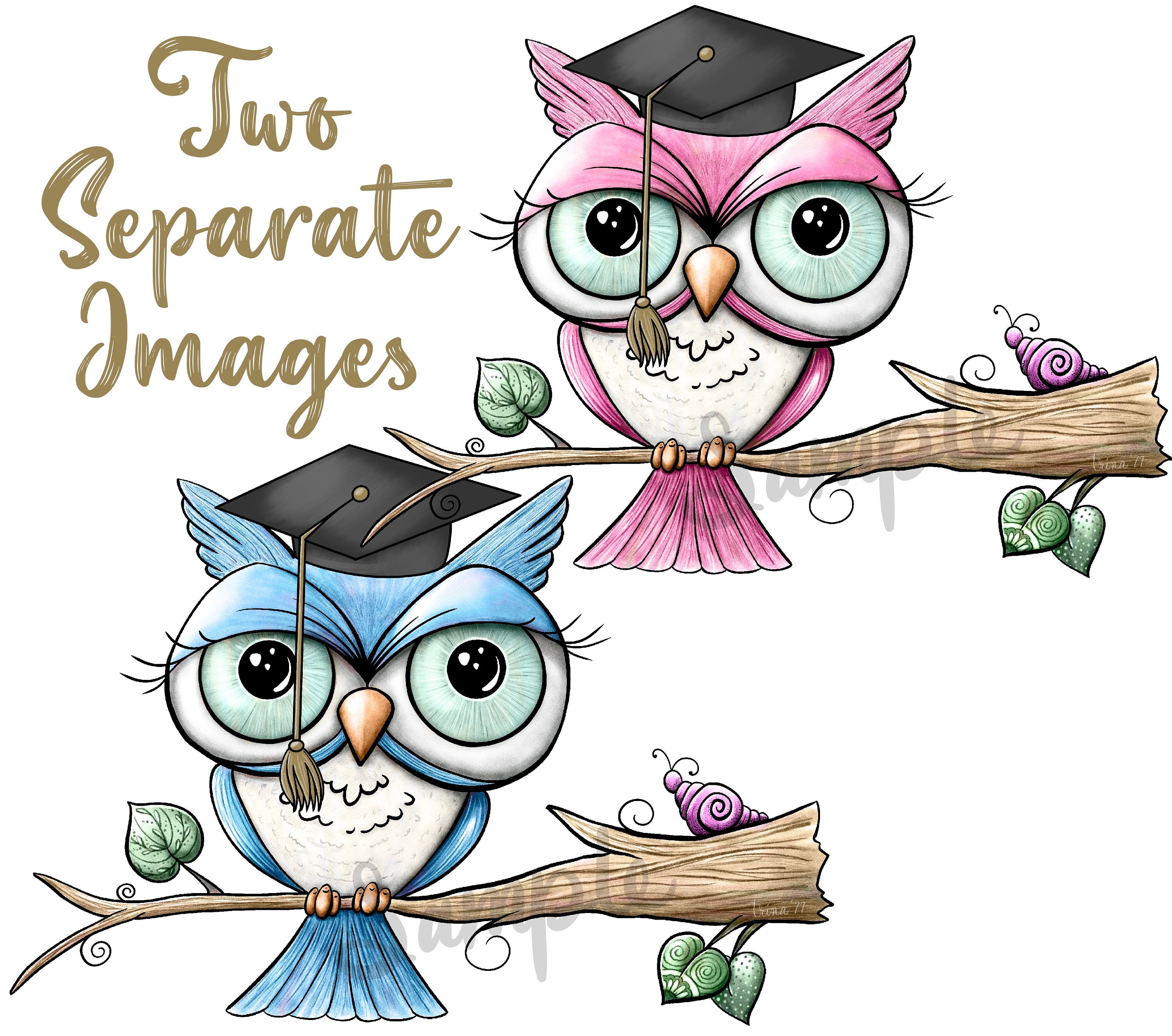 Owl Graduation Clipart