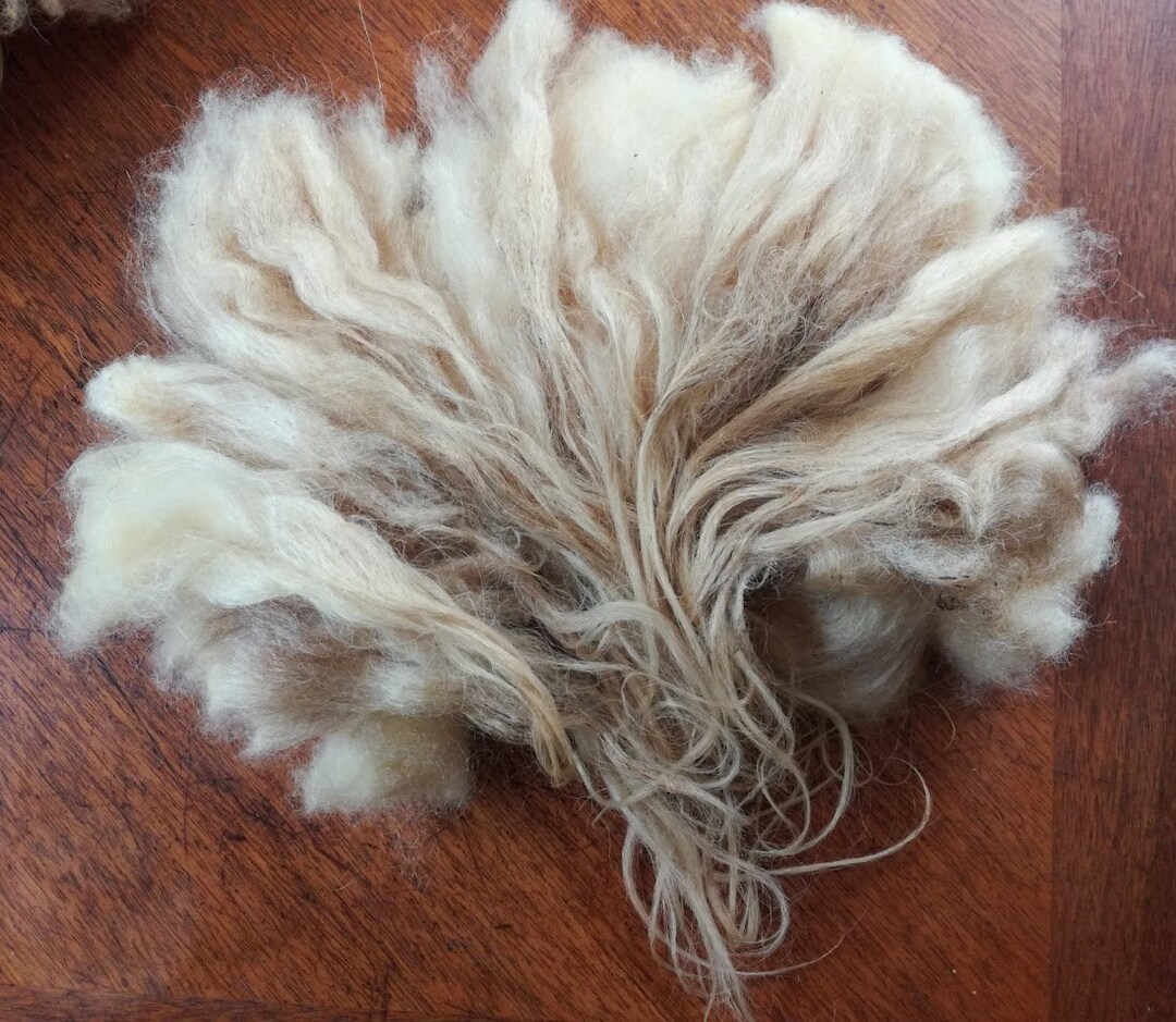 Rare Breed Racka Wool 1,6 Kg Long Locks. Raw Sheep Wool for Felting ...