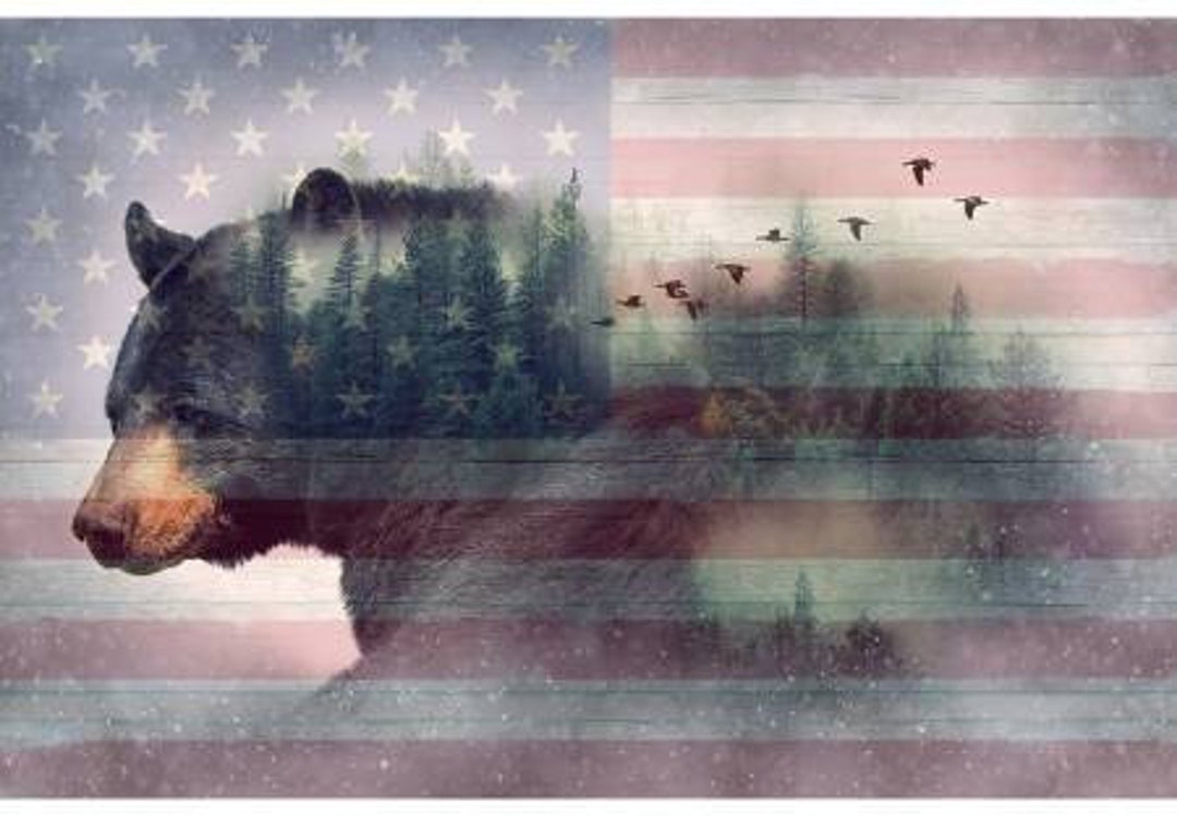American Wild Grizzly Bear Fabric Panel From Hoffman Fabrics #81** - Etsy