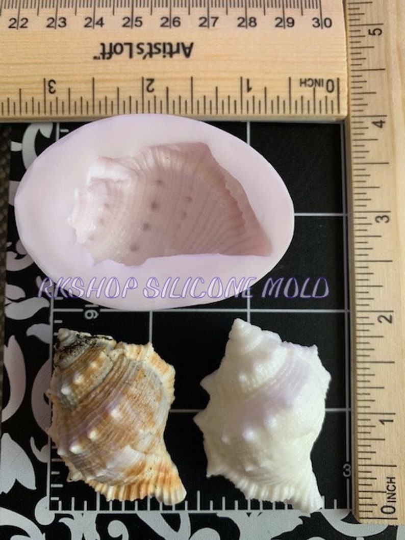 2D Seashell Silicone Mold-sea-ocean-beach | Etsy
