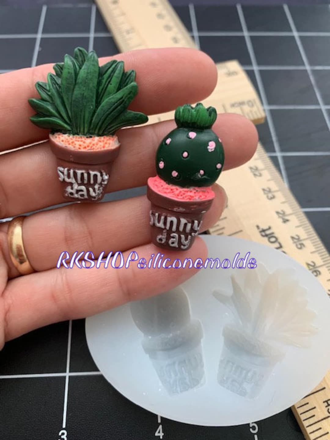 Cactus-succulents Plants Silicone Mold Sunny Day #2 for Fondant-resin ...