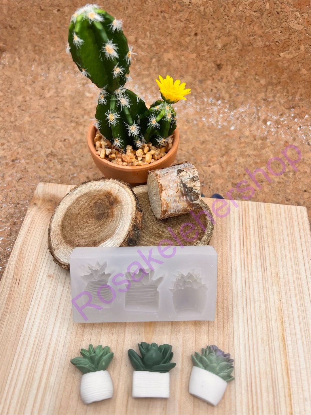 Cactus Small Set Silicone Mold-succulents Plants for Fondant-resin ...
