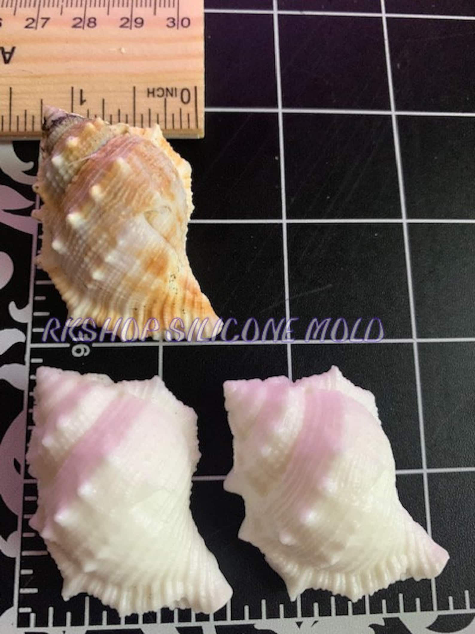 2D Seashell Silicone Mold-sea-ocean-beach | Etsy