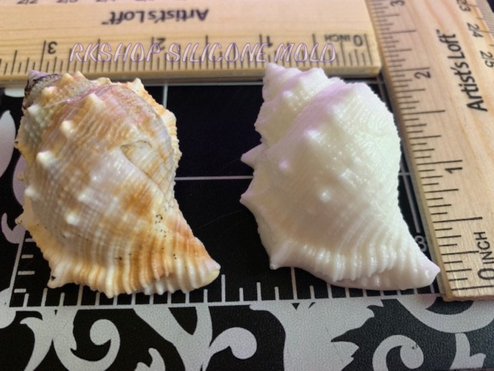 2D Seashell Silicone Mold-sea-ocean-beach | Etsy