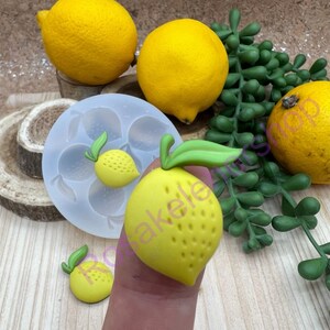 Lemon Fruit-food Silicone Mold for Fondant-resin-polymer Clay-candy ...