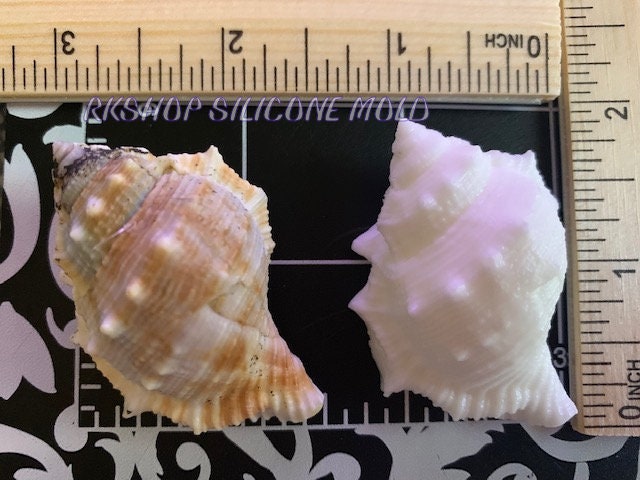 2D Seashell Silicone Mold-sea-ocean-beach | Etsy