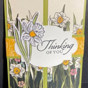 Set of 4 daffodil Cards Collection 2 - Etsy